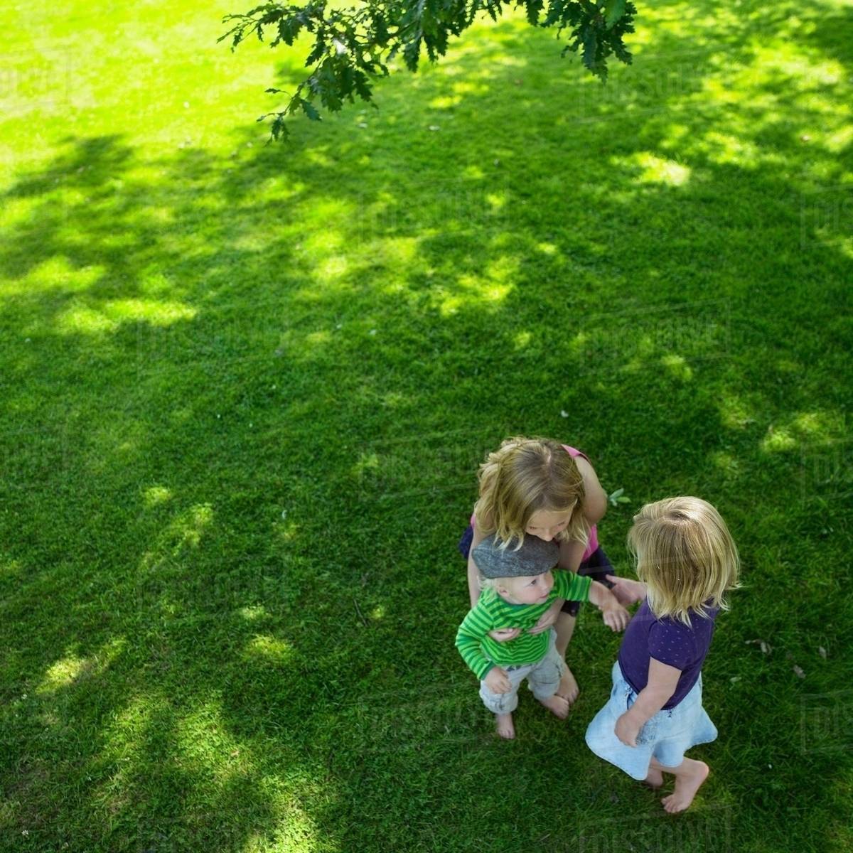 Children playing in field - Stock Photo - Dissolve