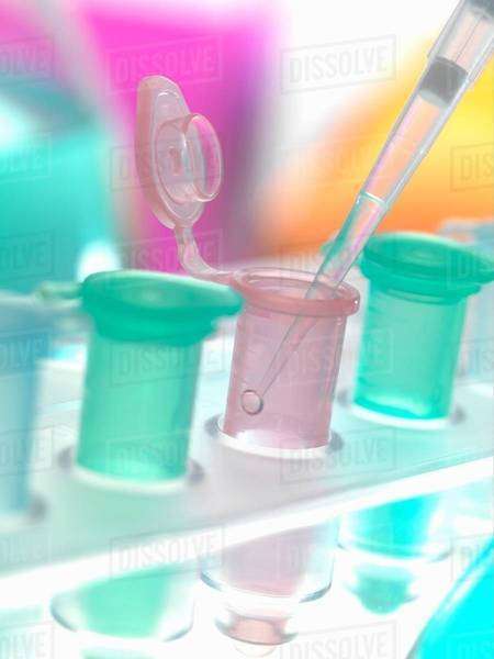 Pipette adding sample to eppendorf tube in a laboratory - Royalty-free ...