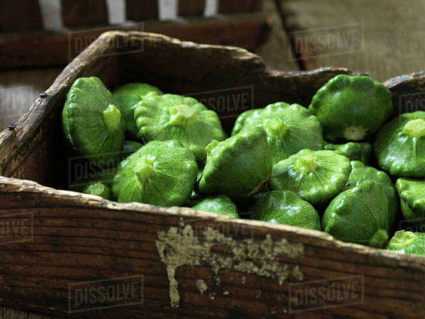 Fresh organic vegetable, green pattypan squash - Royalty-free Stock ...
