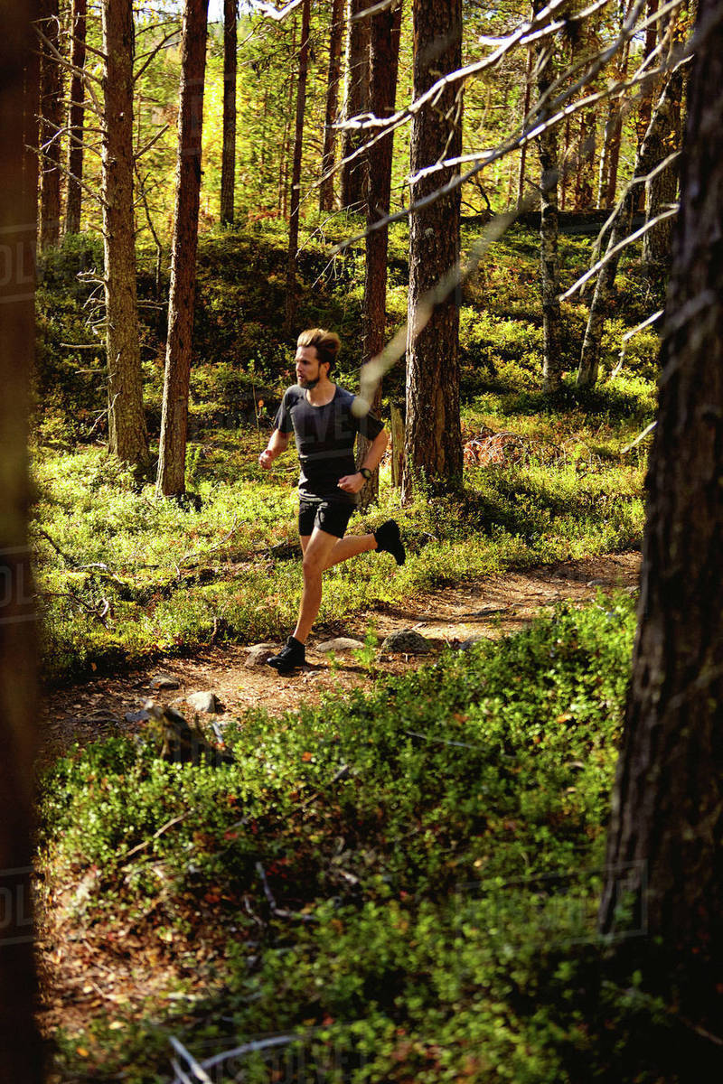 Man running in forest, Keimiotunturi, Lapland, Finland - Royalty-free ...