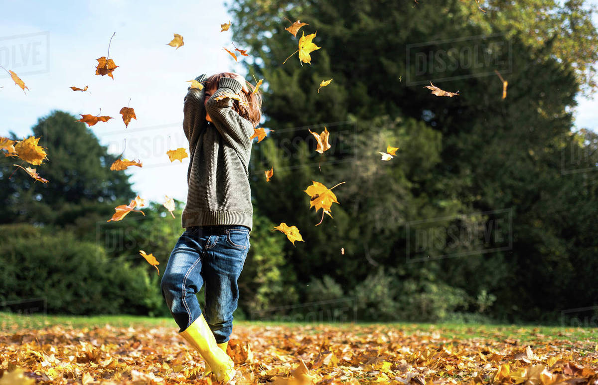Young boy, outdoors, throwing autumn leaves - Royalty-free Stock Photo ...