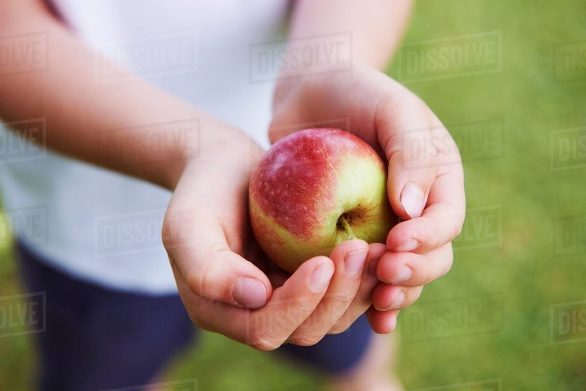 Hand Holding Fruit 9 Fun Activities To Teach Kids About Fruits