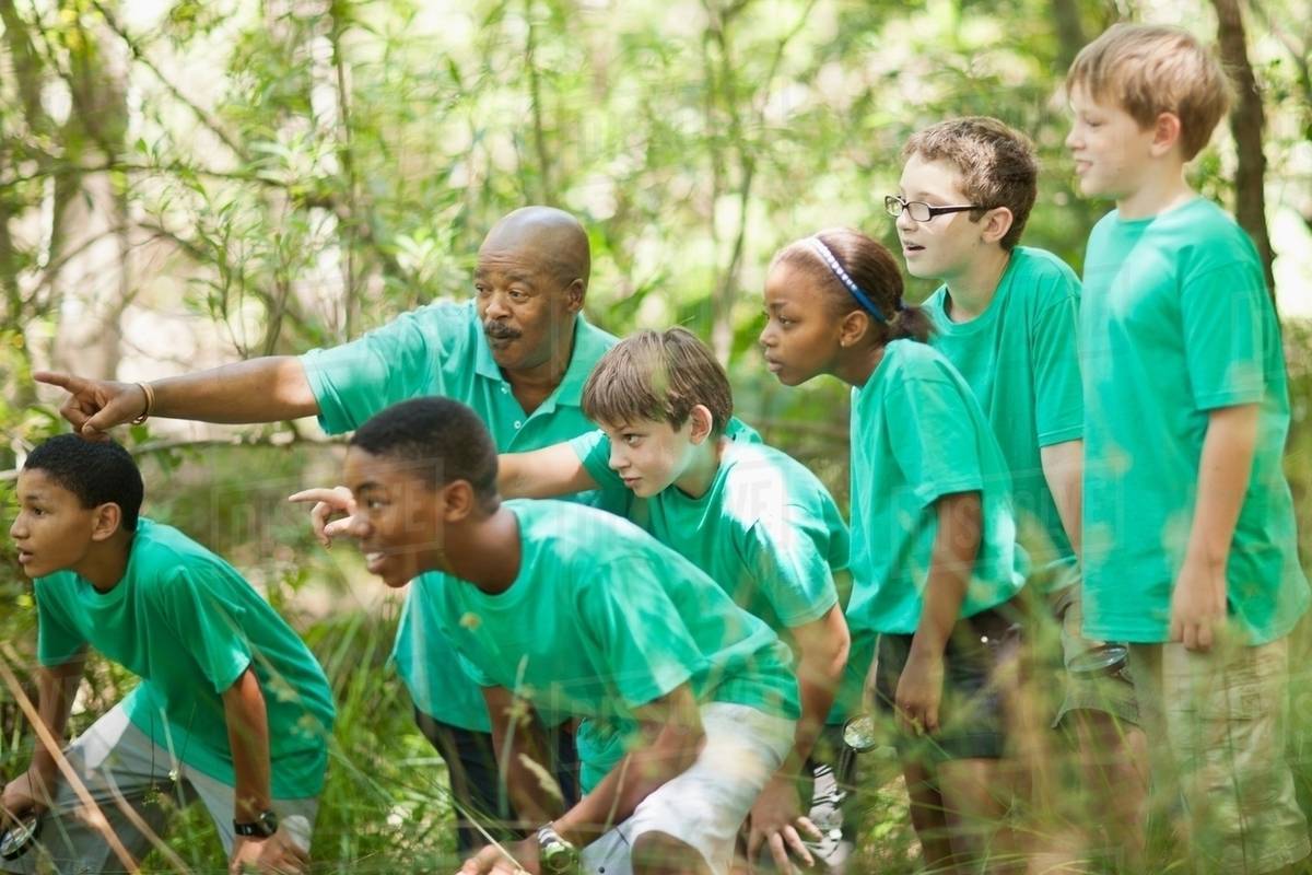 Students exploring forest with teacher - Royalty-free Stock Photo ...