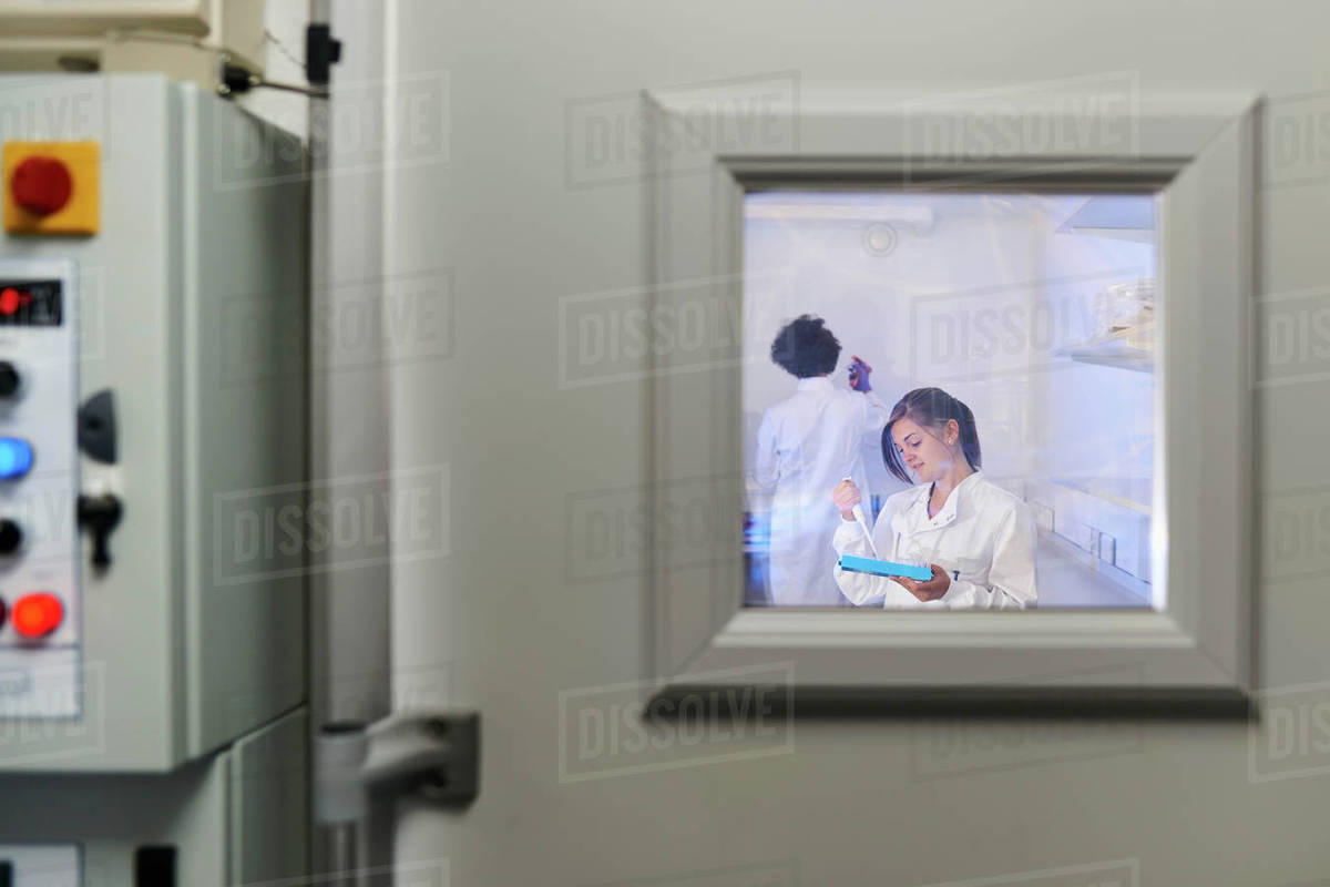 View through window of scientists in laboratory - Royalty-free Stock ...
