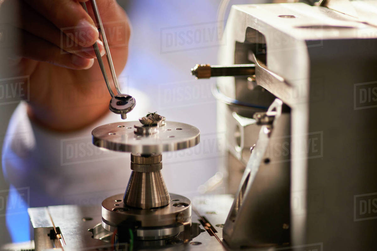 Scientists placing object on scientific equipment using tweezers ...