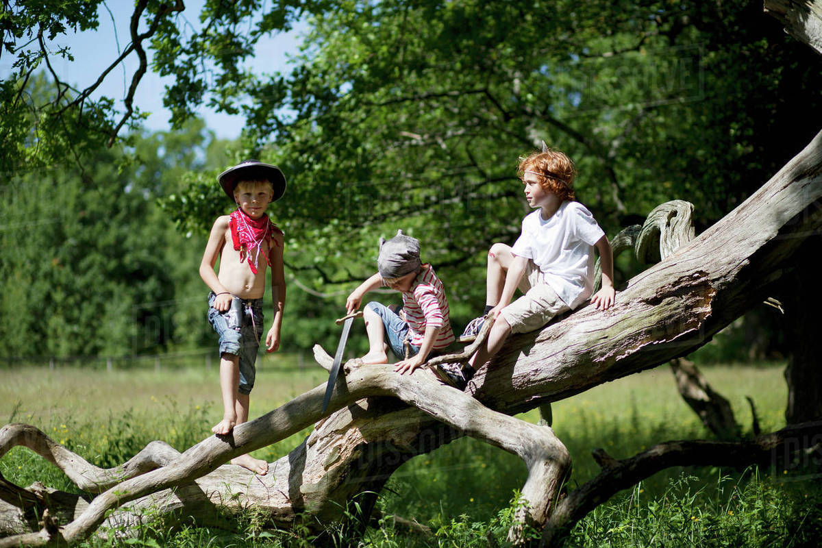 Children in costumes playing on tree - Stock Photo - Dissolve