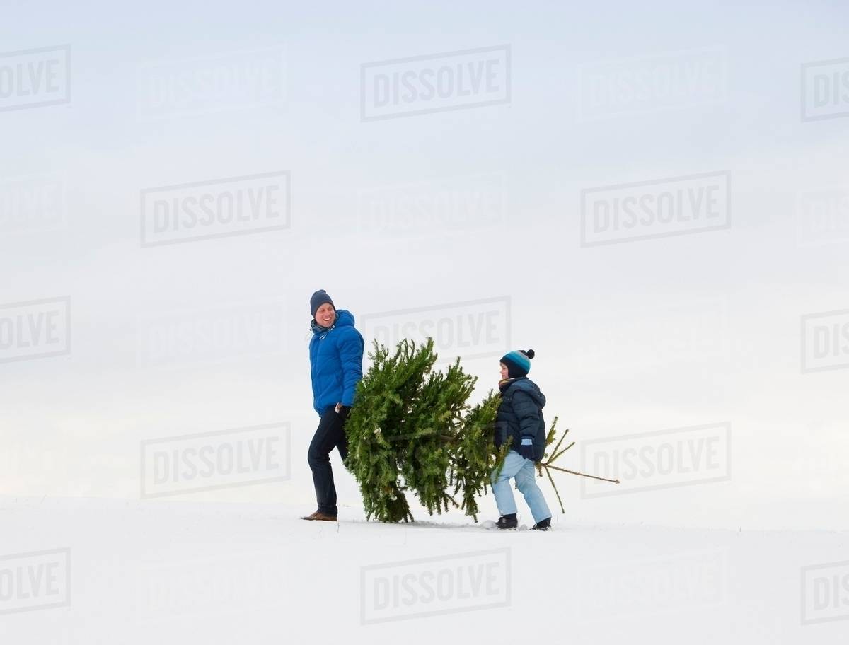 Father and son carrying Christmas tree - Royalty-free Stock Photo ...