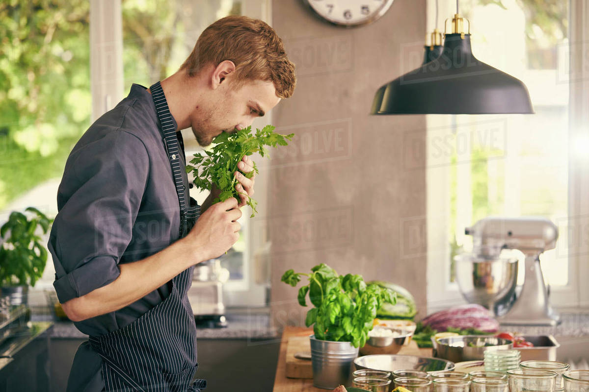 Chef smelling fresh herbs - Royalty-free Stock Photo | Dissolve
