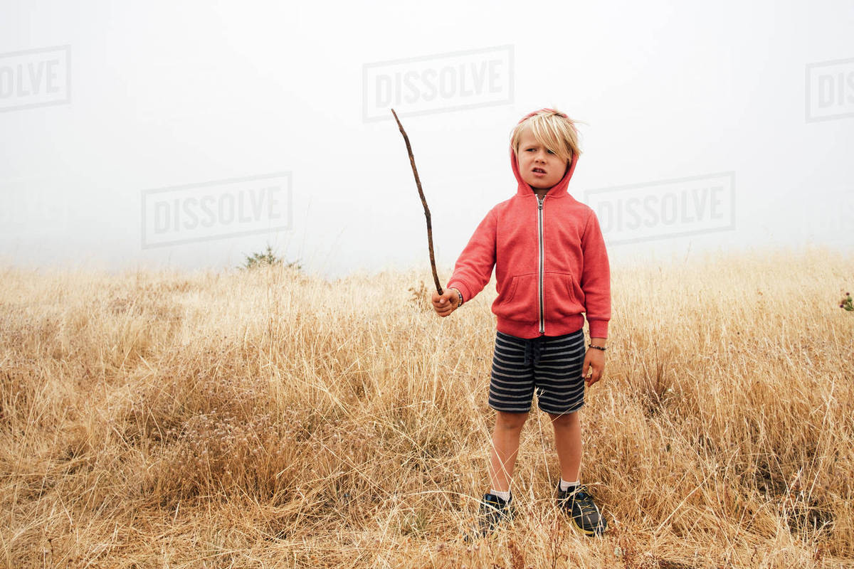 Boy in field holding stick, Fairfax, California, USA, North America ...