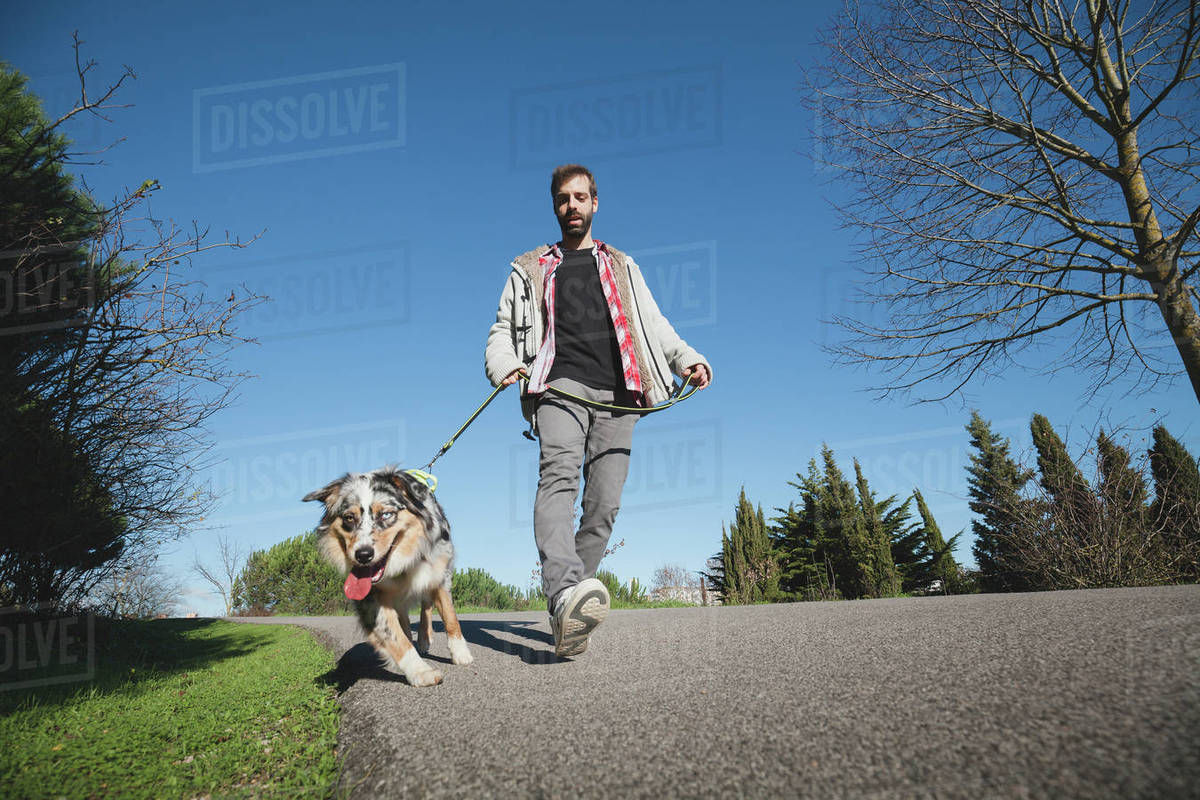 Mid adult man walking dog in park, low angle view - Royalty-free Stock ...