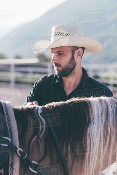 Cowboy checking horse bridle in equestrian arena, cropped - Royalty ...