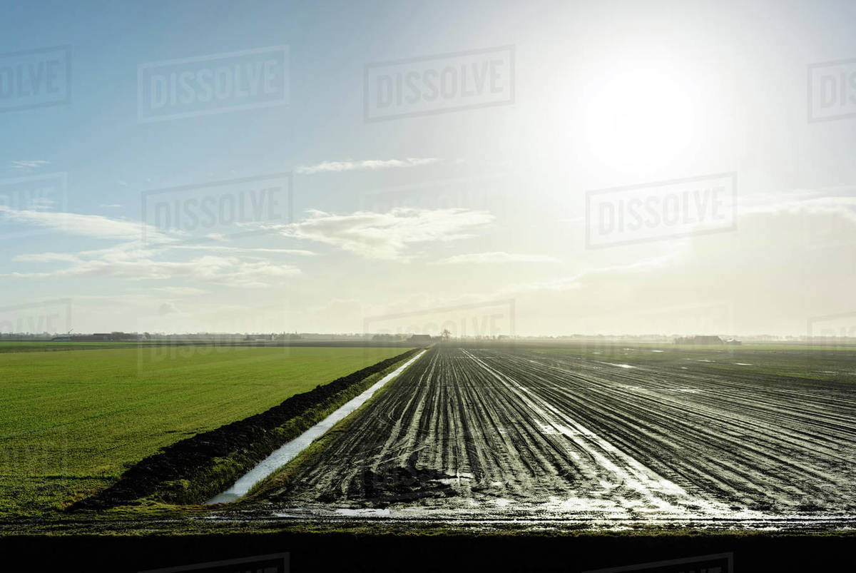 Wet fields in the deserted polders in north of Netherlands - Stock ...