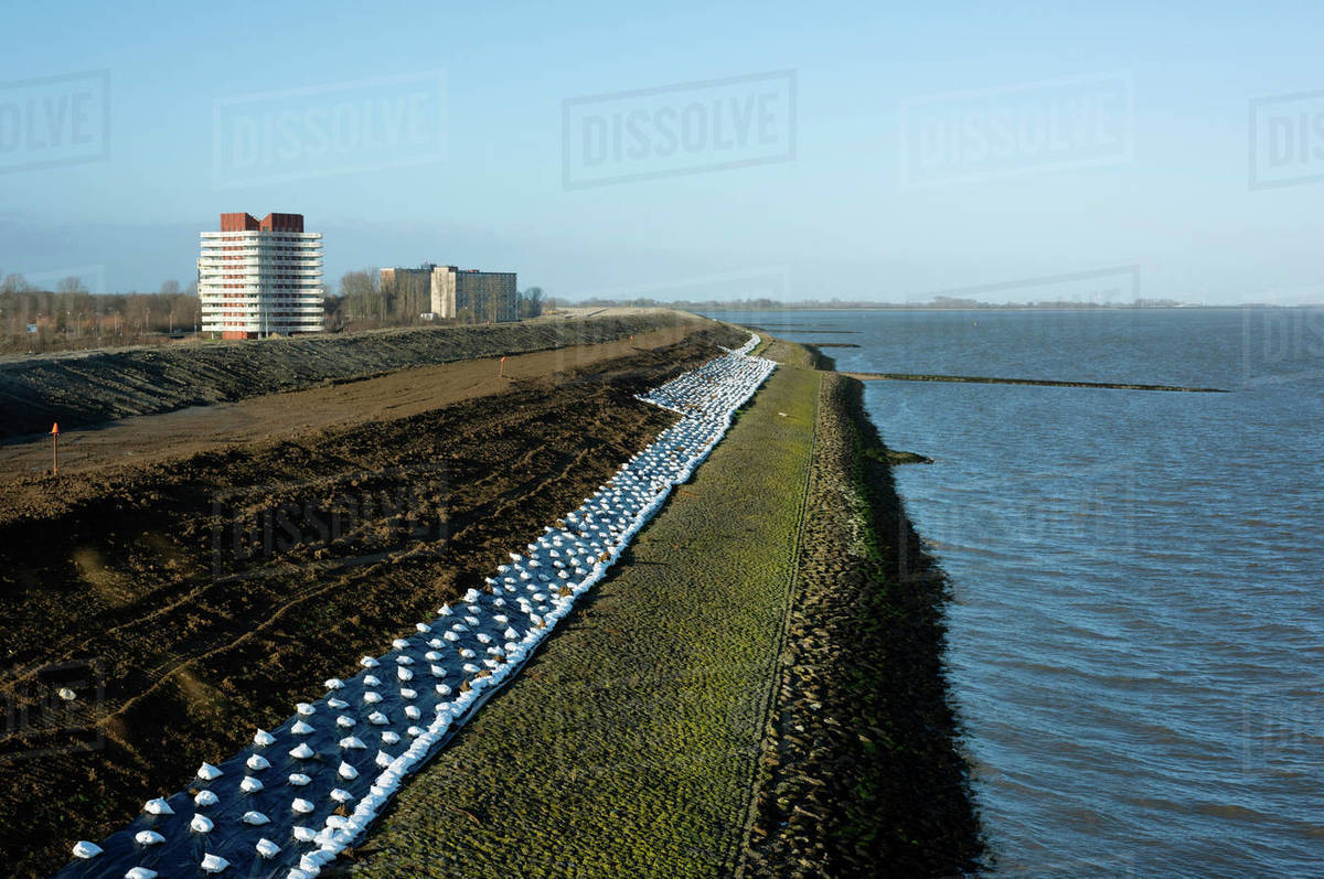Coastal landscape with reinforced sea dyke to withstand future storms ...
