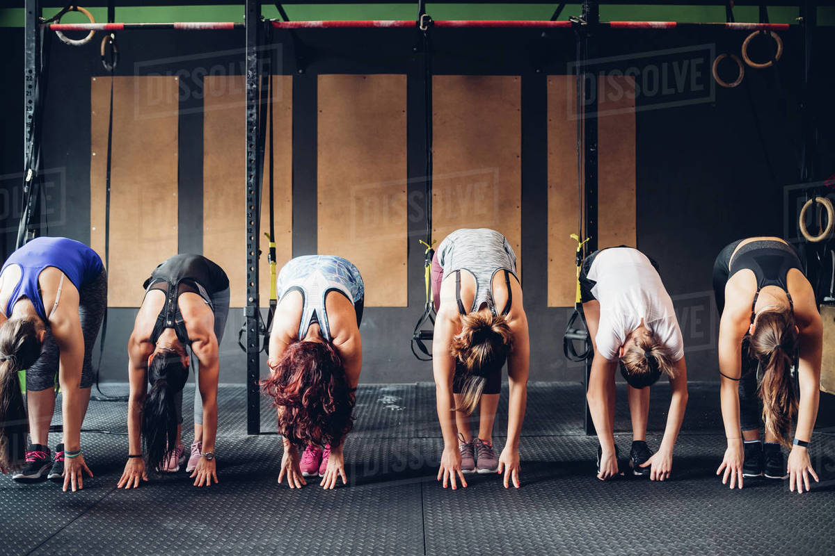 Row of women training in gym, bending forward touching floor - Royalty ...