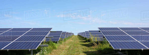 Solar panels at solar farm, Geldermalsen, Gelderland, Netherlands ...