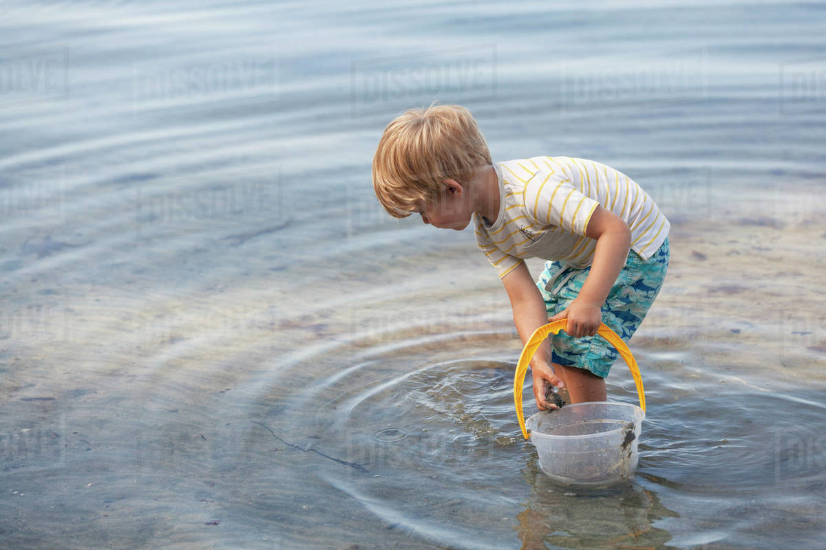 Boy picking up seashells on beach - Royalty-free Stock Photo | Dissolve