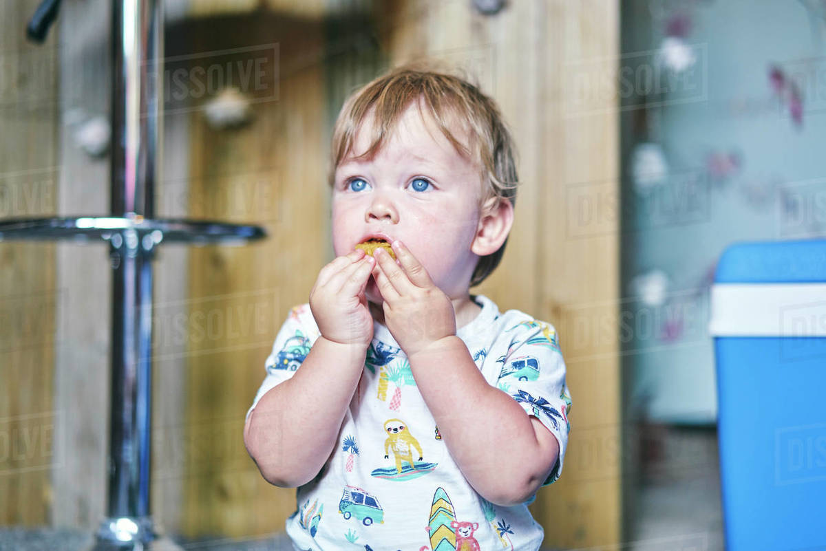 Baby girl eating biscuit with both hands - Stock Photo - Dissolve
