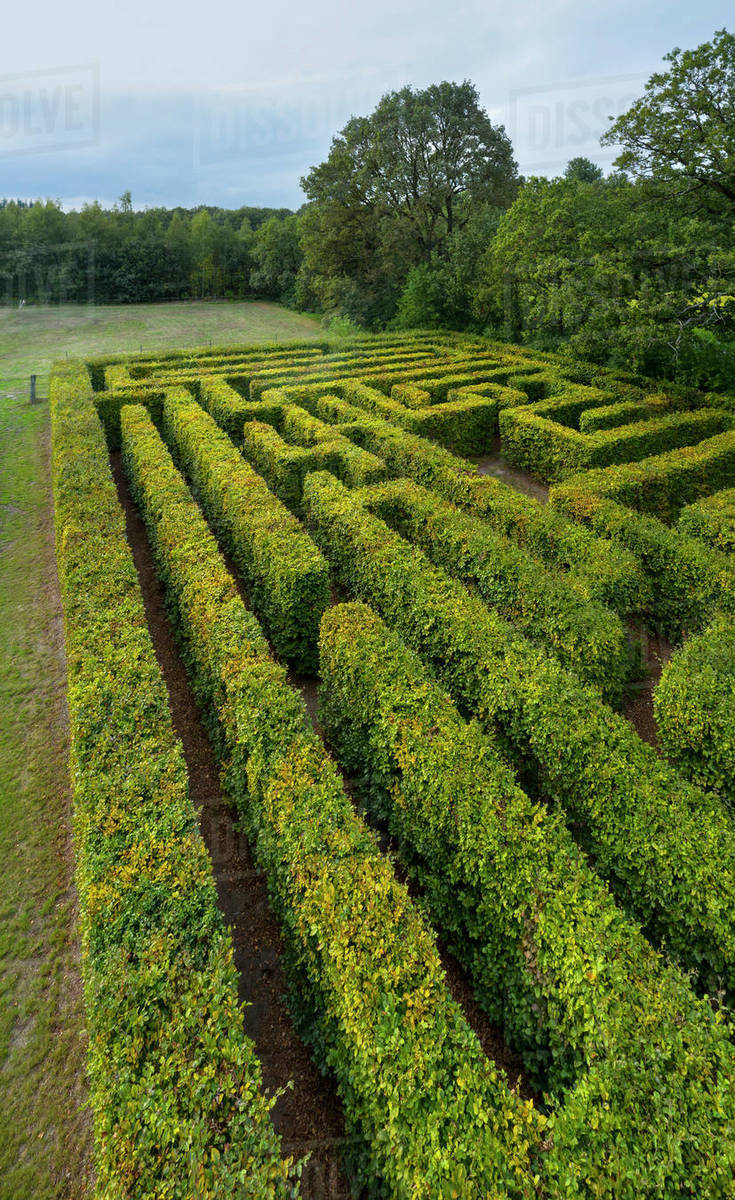 Old labyrinth at dawn, Klein-Zundert, Noord-Brabant, Netherlands ...