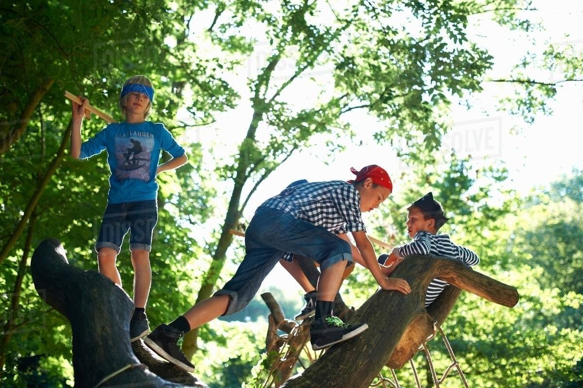 Young boys dressed as pirates, playing in tree - Stock Photo - Dissolve