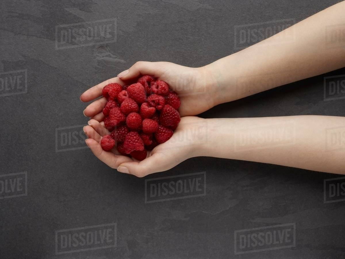 Hands holding fresh raspberries - Stock Photo - Dissolve
