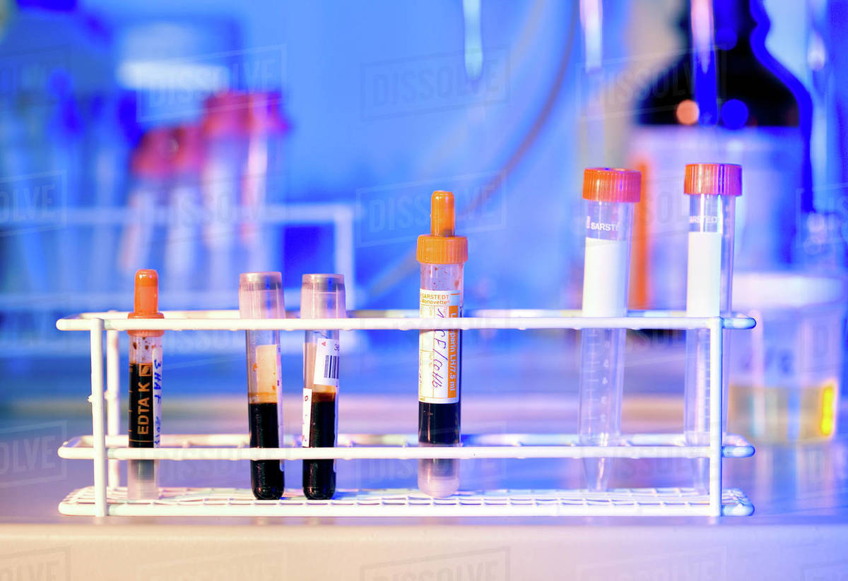 A colorful science laboratory scene with test tubes filled with samples ...