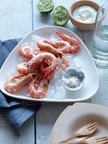 Cooked prawns dish - Royalty-free Stock Photo | Dissolve