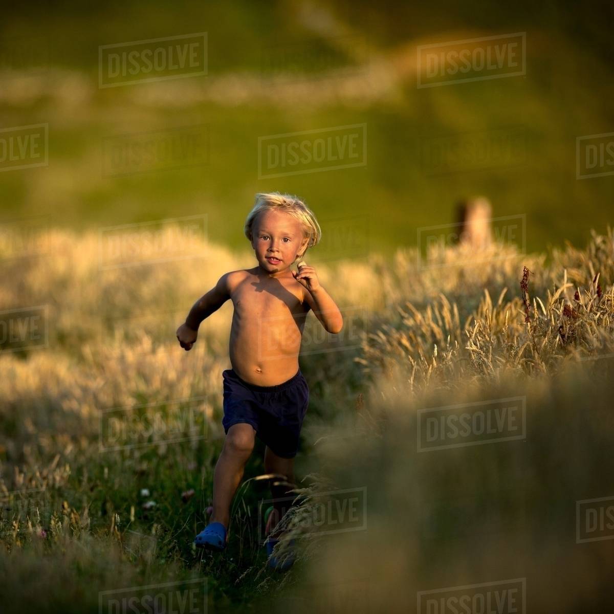 Young boy running through field - Royalty-free Stock Photo | Dissolve