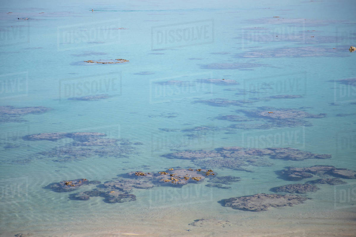 Aerial view of coral reefs in shallow blue tropical waters, Titikaveka ...