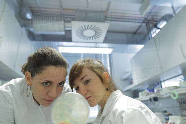 Biology lab technicians having discussion at work - Stock Photo - Dissolve