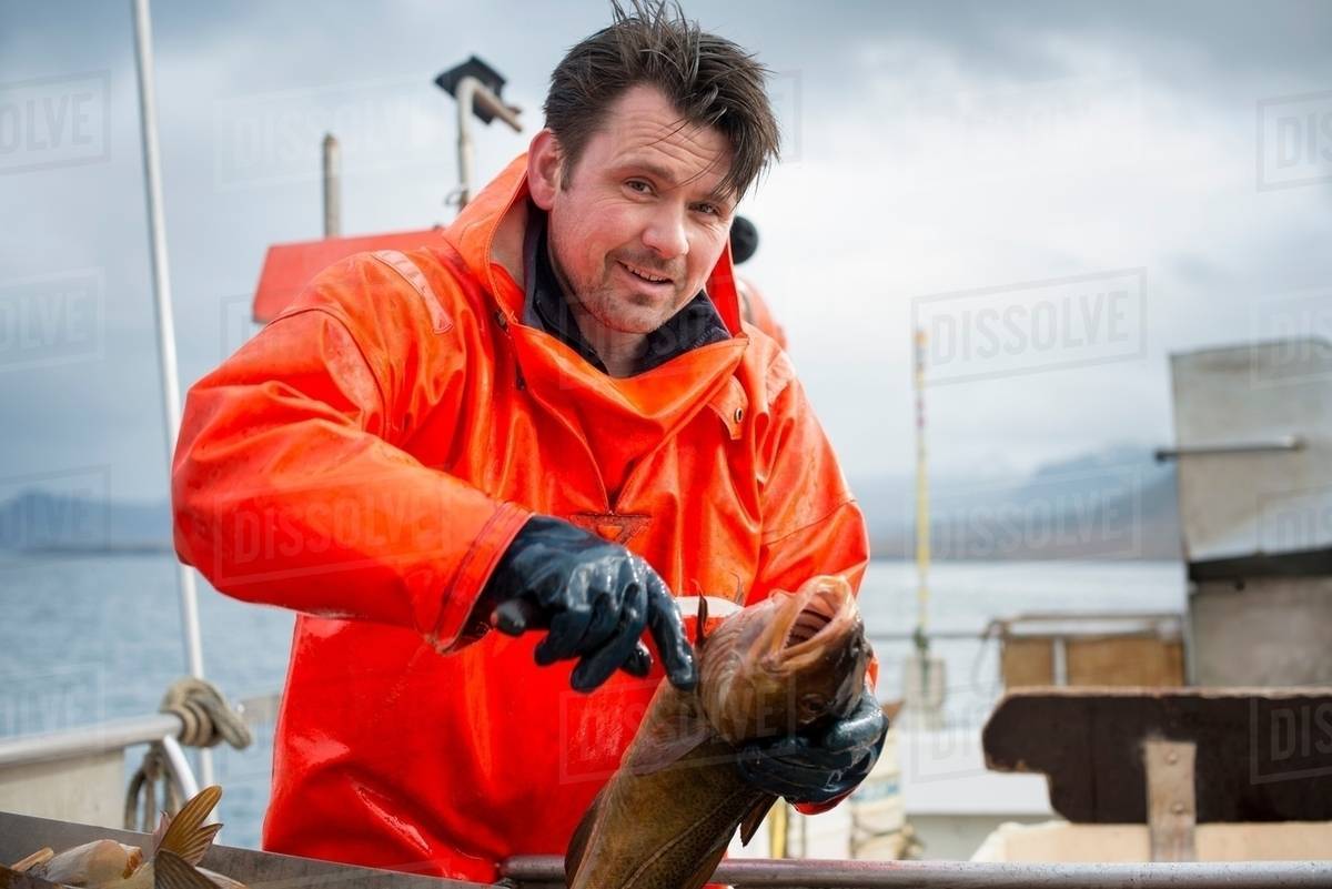 Fisherman gutting fish - Stock Photo - Dissolve