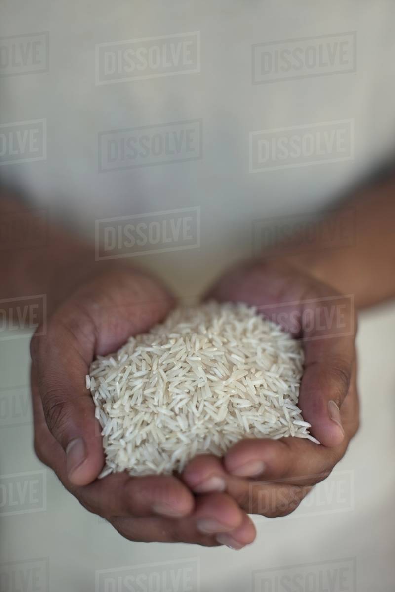 Close up of hands holding rice - Royalty-free Stock Photo | Dissolve