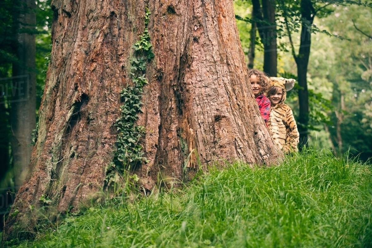 Children playing together in forest - Royalty-free Stock Photo | Dissolve