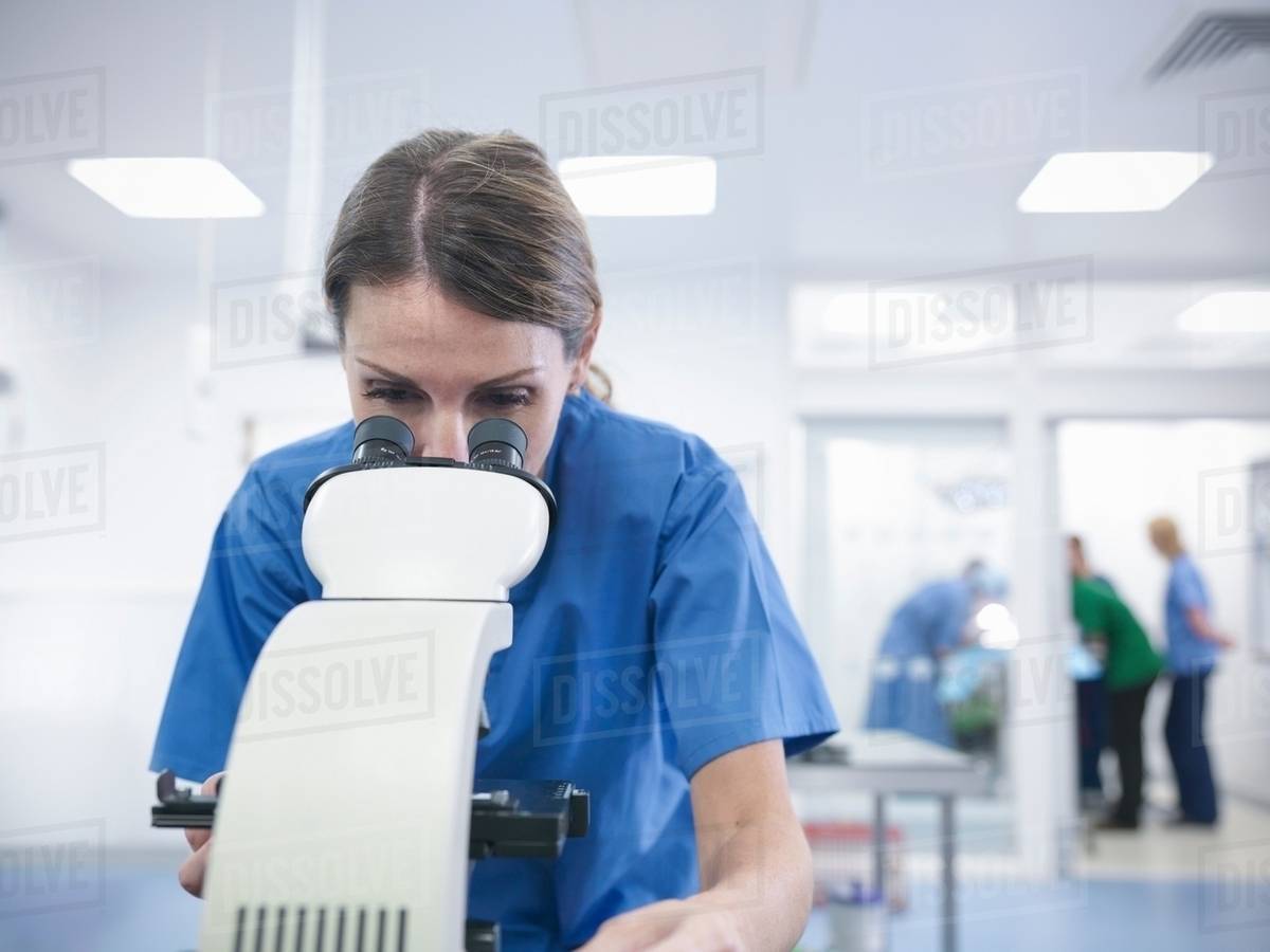 Veterinary nurse looking through microscope in veterinary practice ...