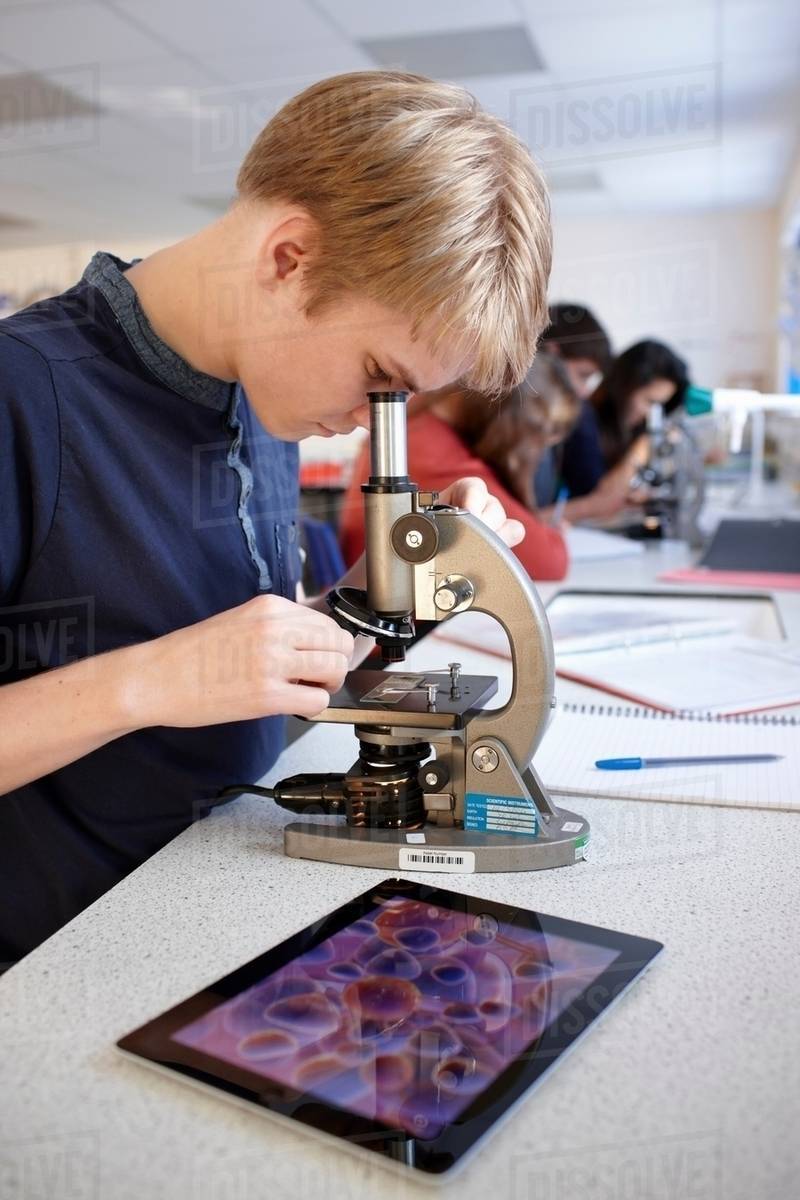Student using microscope in class - Stock Photo - Dissolve
