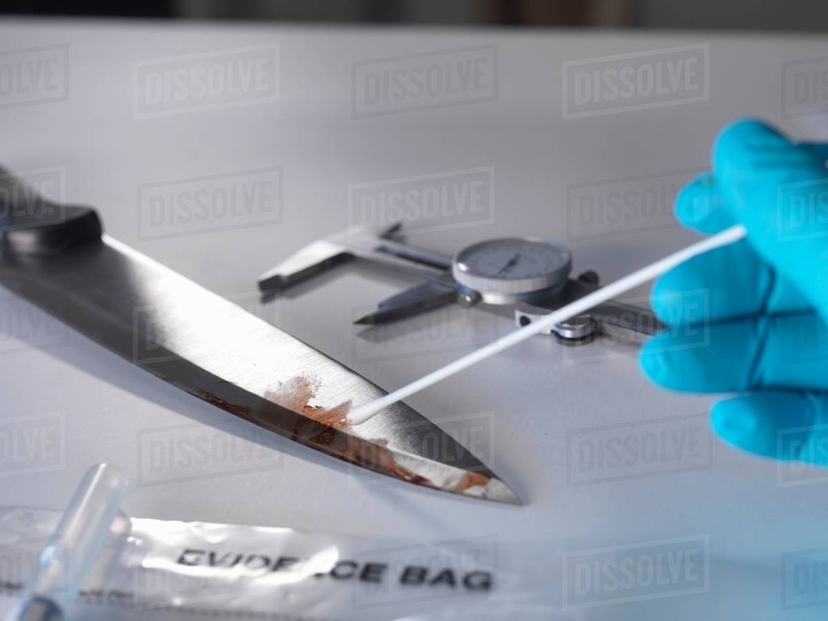Forensic investigation of knife from crime scene - Royalty-free Stock ...