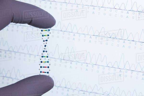 Model of DNA molecule, DNA sequencing in background - Stock Photo ...