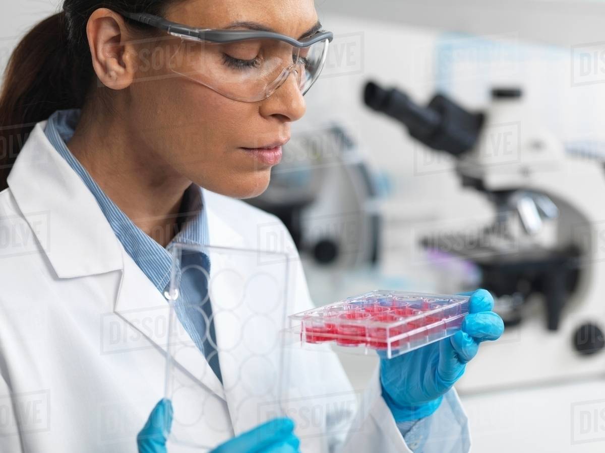 Stem cell research. Female scientist examining cell cultures in ...