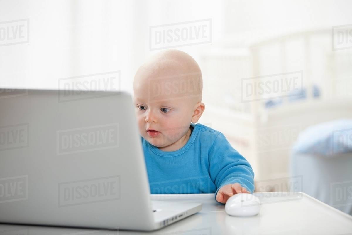 Baby boy using laptop - Stock Photo - Dissolve