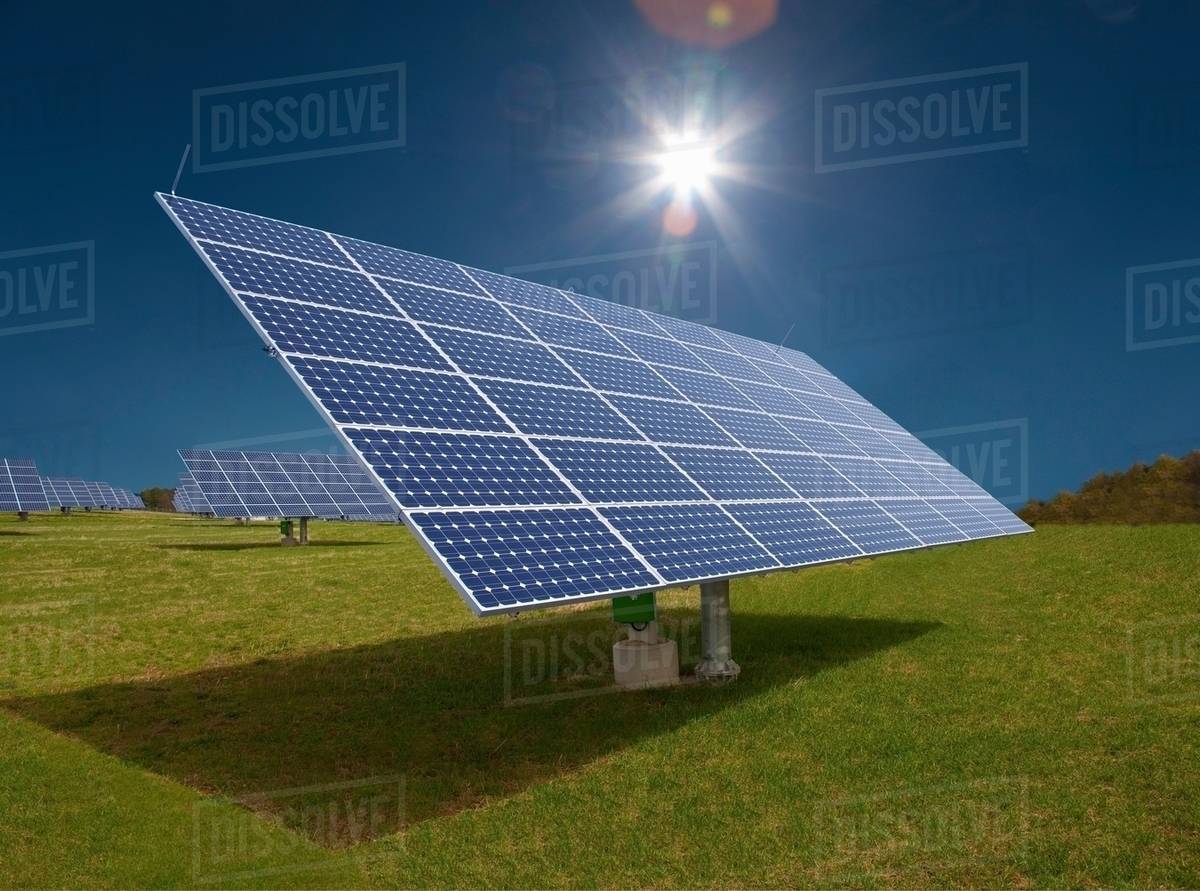 Solar panels in field - Royalty-free Stock Photo | Dissolve