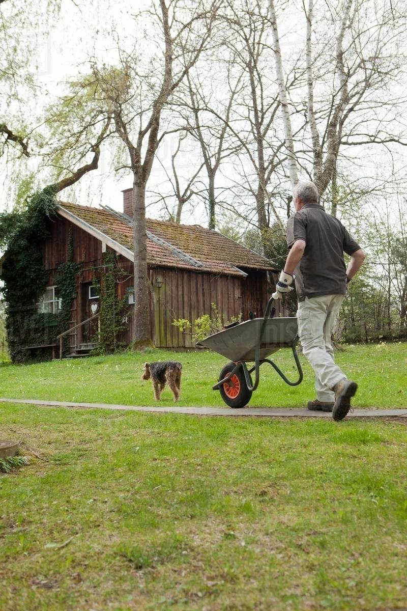 Man pushing wheelbarrow in backyard - Royalty-free Stock Photo | Dissolve