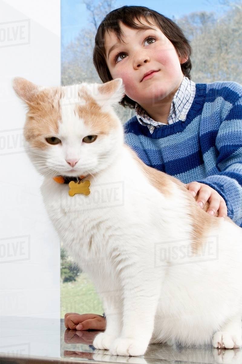 Boy petting his cat - Royalty-free Stock Photo | Dissolve