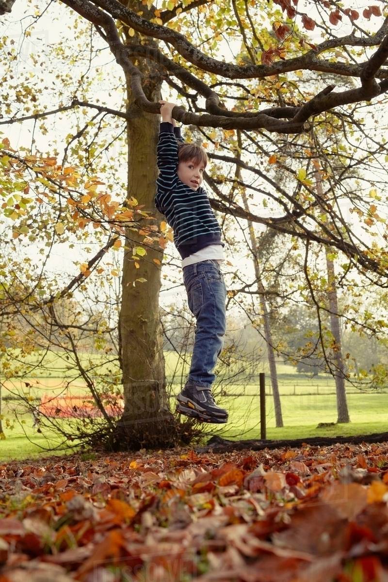 Boy playing on tree outdoors - Royalty-free Stock Photo | Dissolve