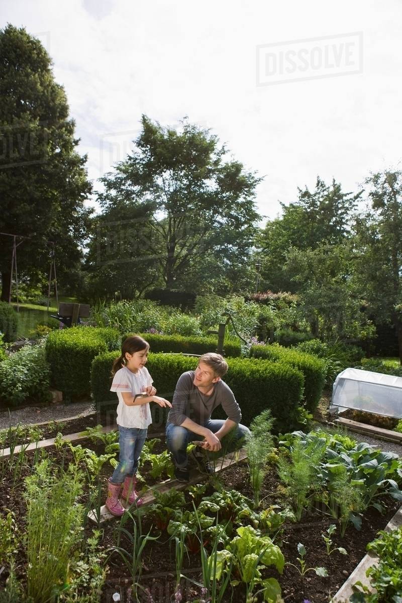 Father and daughter gardening together - Stock Photo - Dissolve