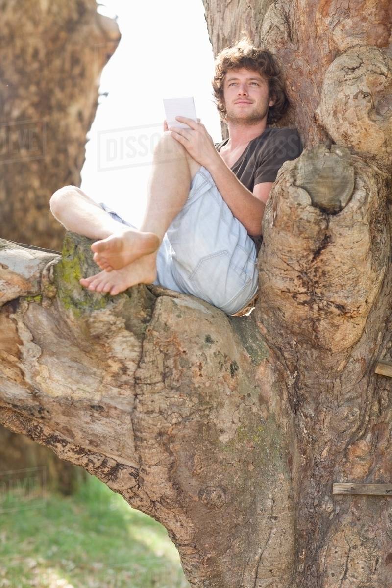 Smiling man reading in tree - Stock Photo - Dissolve