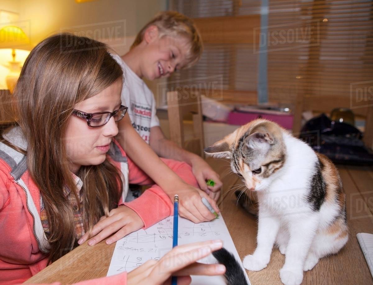 Children with cat during homework - Stock Photo - Dissolve