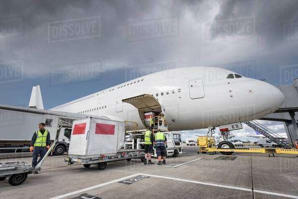 Ground crew loading freight onto A380 aircraft - Stock Photo - Dissolve