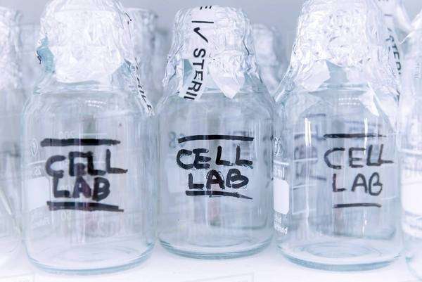 Cancer research laboratory, row of sterilised cell jars - Royalty-free ...