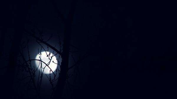 Blue moon rising behind winter tree on dark and cloudy night. - Stock ...
