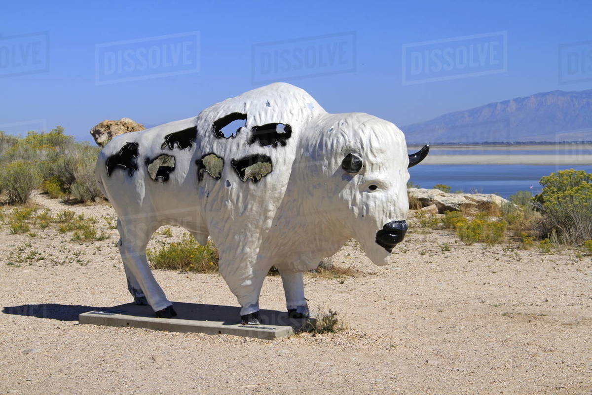 A White Buffalo Statue at Antelope Island souvenirs shop that's at the ...