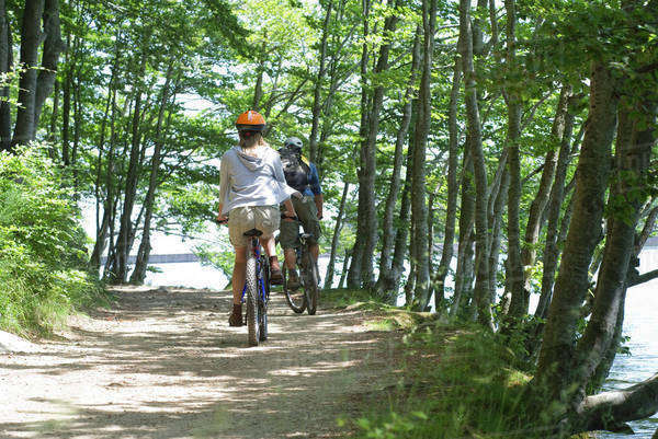 Cyclists riding through woods, rear view - Royalty-free Stock Photo ...